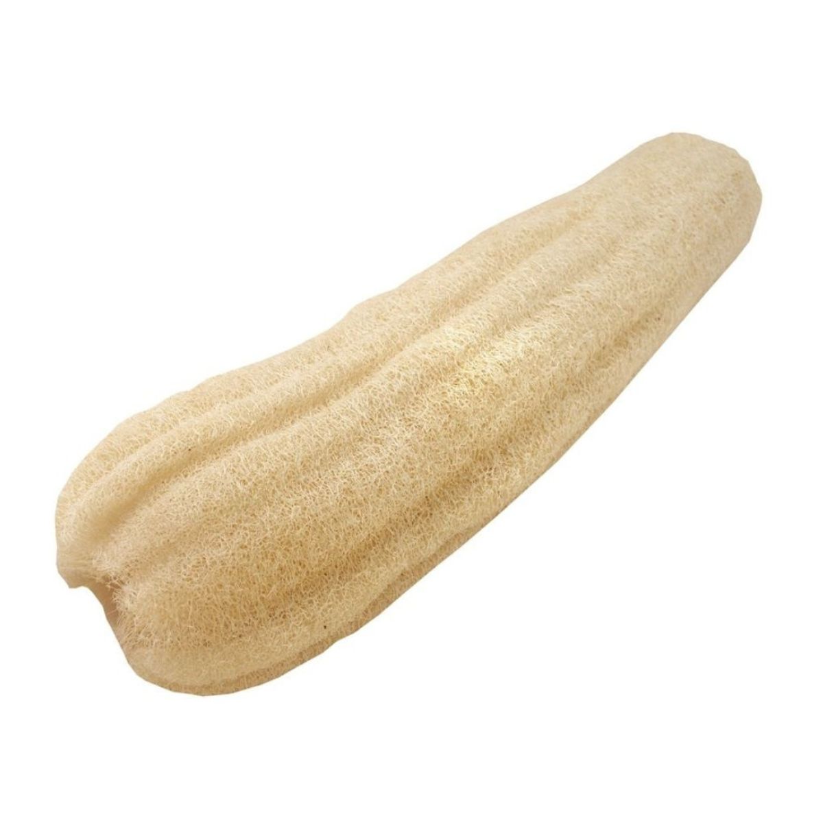 NIPAVO (N.P.V) Raw Natural Loofah | Hondos Center